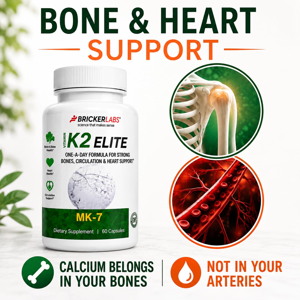Vitamin K2 MK-7 promotes healthy blood clotting