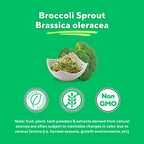 vitamin-rich superfood for health