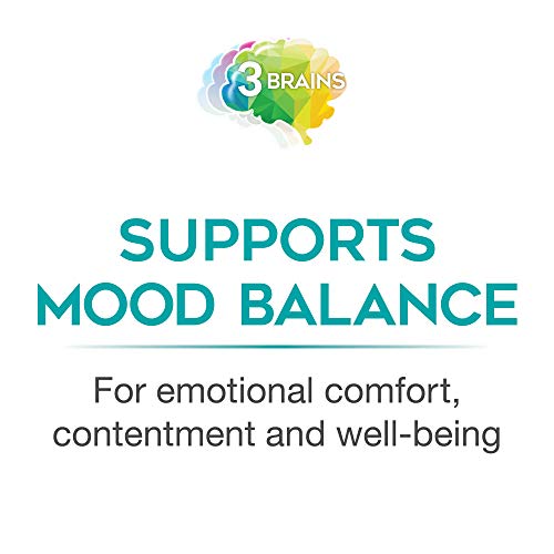 vitamin tablets for cognitive support