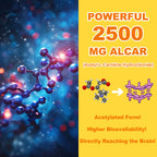 VitaminEsentials acetyl l-carnitine benefits