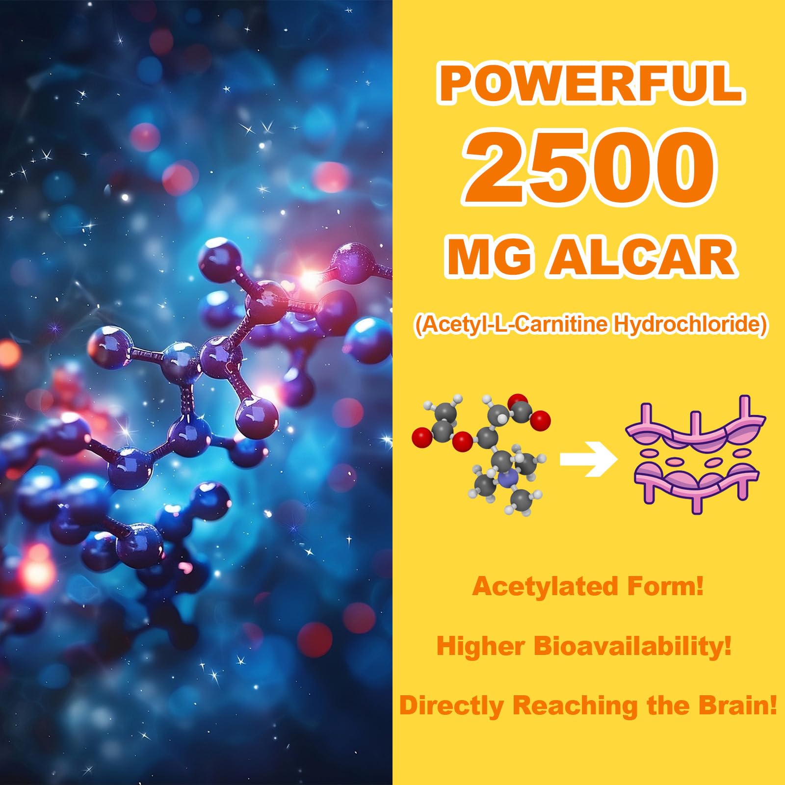 VitaminEsentials acetyl l-carnitine benefits
