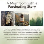 VitaminEsentials agarikon mushroom capsules