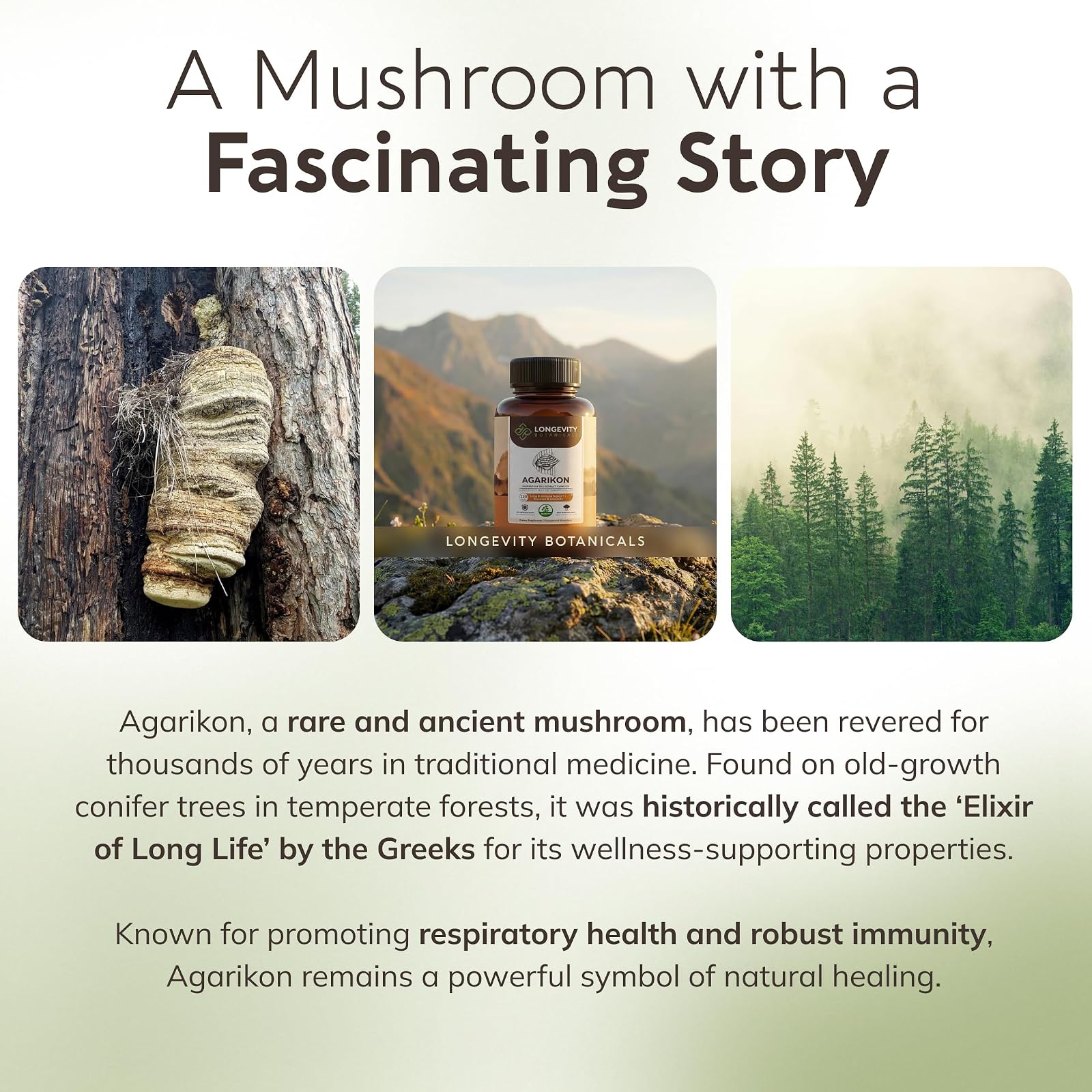 VitaminEsentials agarikon mushroom capsules