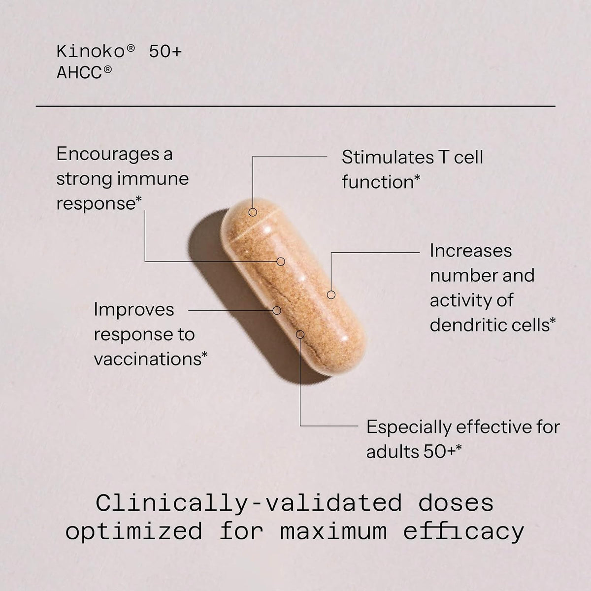 VitaminEsentials AHCC mushroom benefits