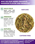 VitaminEsentials alfalfa leaf benefits