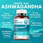 VitaminEsentials ashwagandha 500 mg benefits