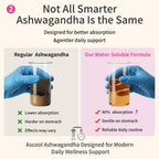 VitaminEsentials ashwagandha gummies 60 count