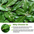 VitaminEsentials bay leaf tea