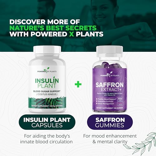 VitaminEsentials berberine for weight management
