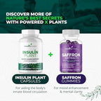 VitaminEsentials berberine for weight management