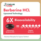 VitaminEsentials berberine immune boost