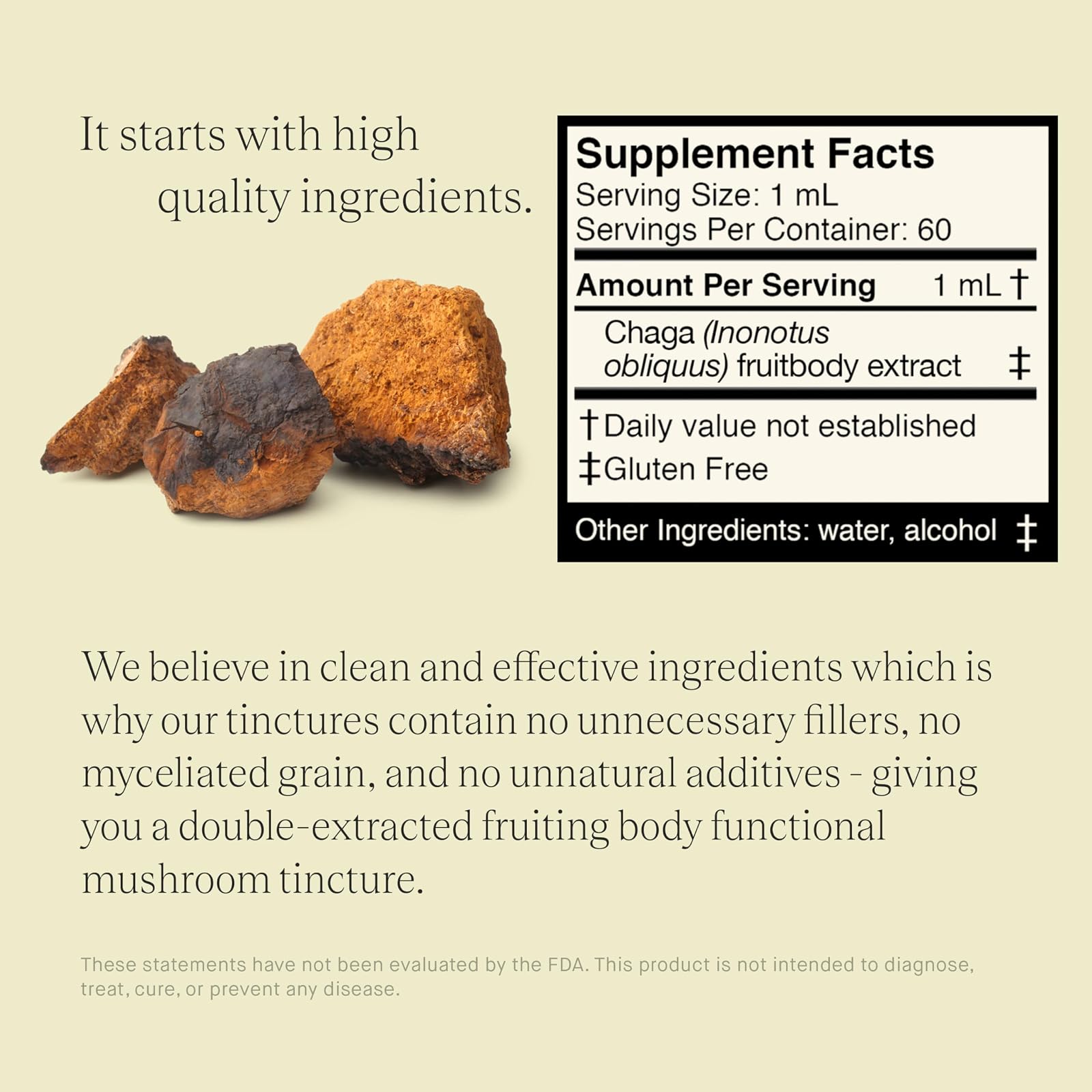 VitaminEsentials chaga mushroom benefits