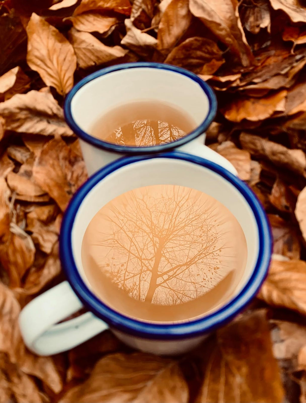 VitaminEsentials chaga mushroom infusion
