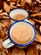 VitaminEsentials chaga mushroom infusion