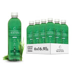 VitaminEsentials chlorophyll water pack