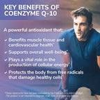 VitaminEsentials coq10 antioxidant support