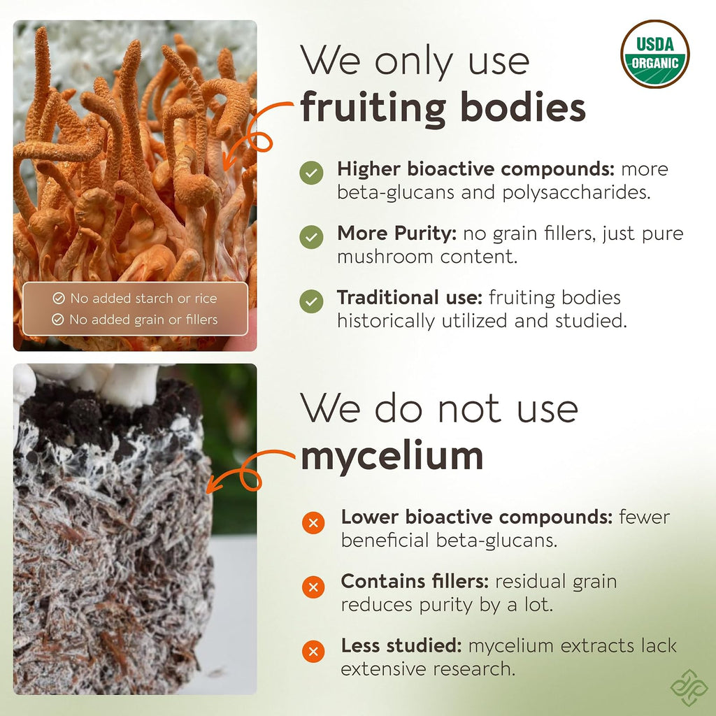 VitaminEsentials cordyceps mushroom extract