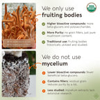 VitaminEsentials cordyceps mushroom extract