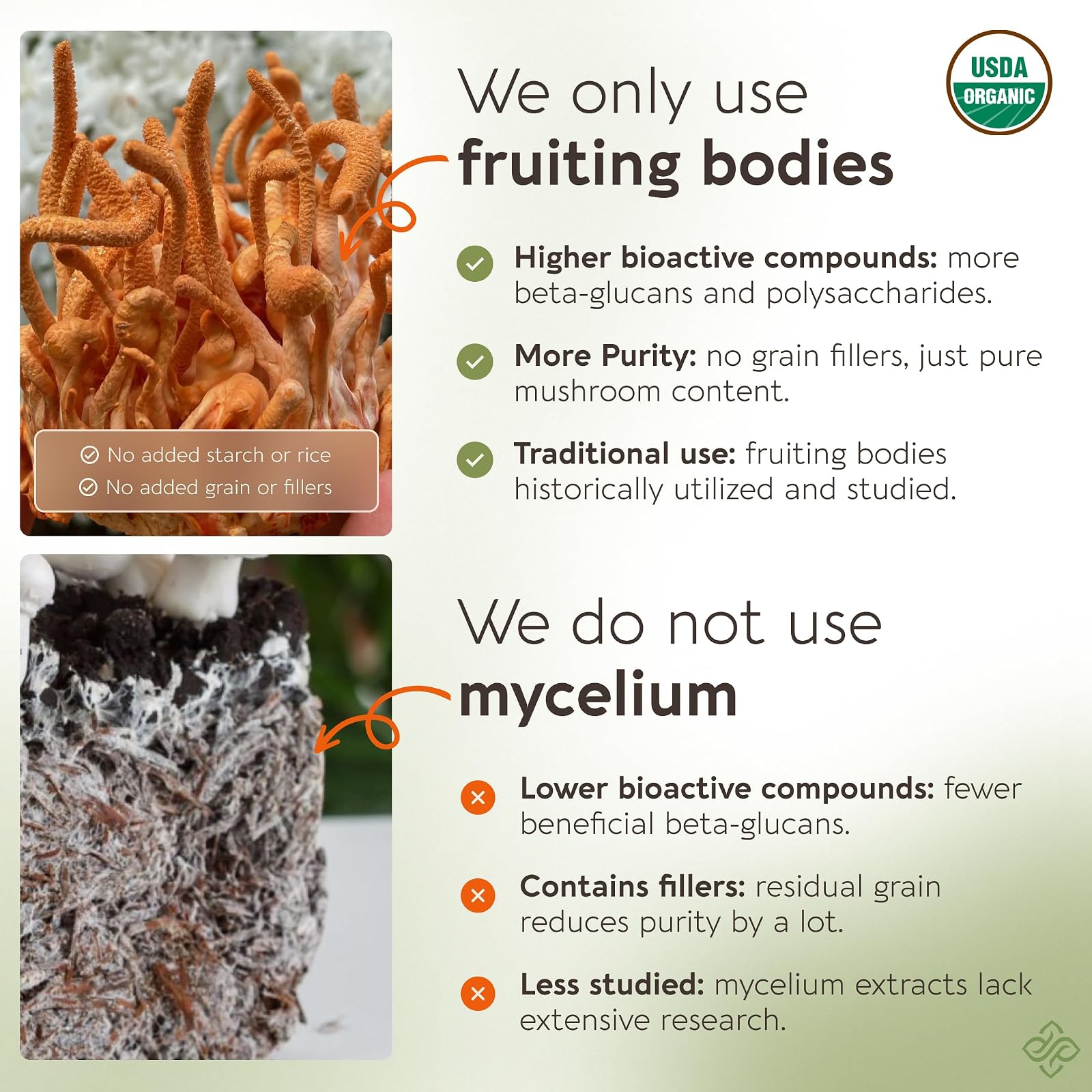 VitaminEsentials cordyceps mushroom extract
