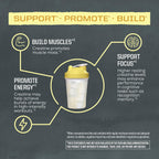 VitaminEsentials creatine for energy
