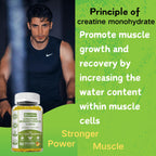 VitaminEsentials creatine for workout support