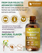 VitaminEsentials dandelion root benefits