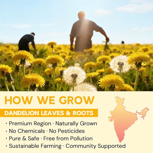 VitaminEsentials dandelion tea bags