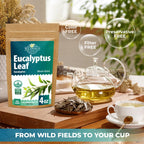 VitaminEsentials dried eucalyptus for wellness