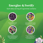 VitaminEsentials iron gummies 60 count