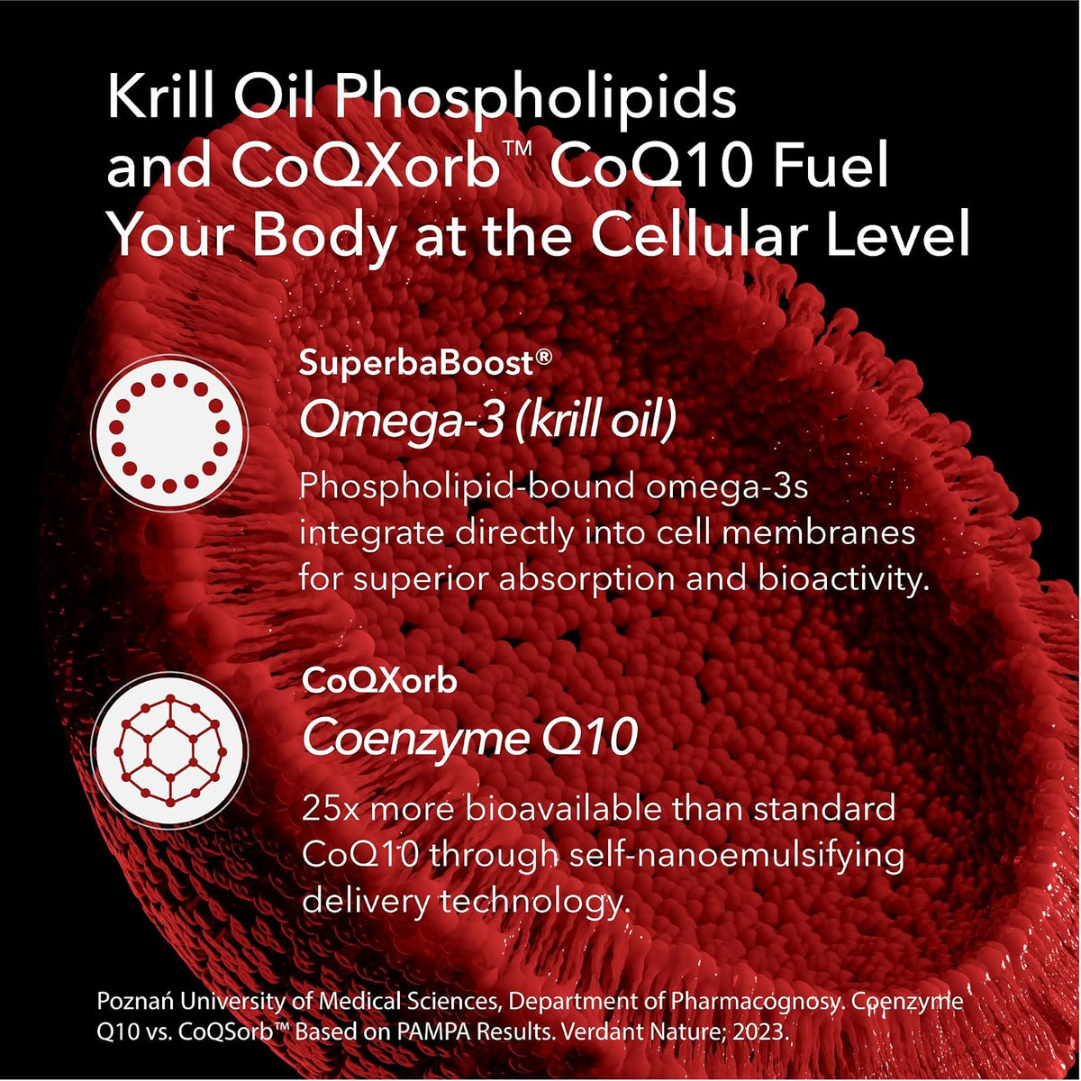 VitaminEsentials krill oil supplement