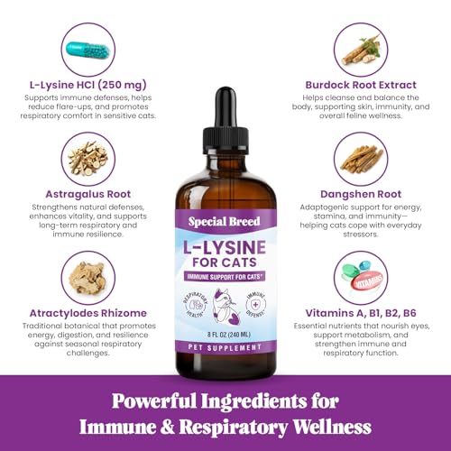VitaminEsentials l-lysine drops for recovery