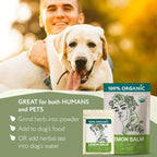 VitaminEsentials lemon balm benefits