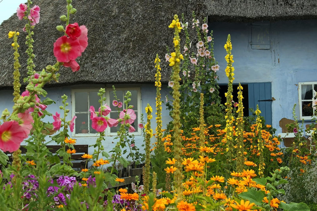 VitaminEsentials mullein flower benefits