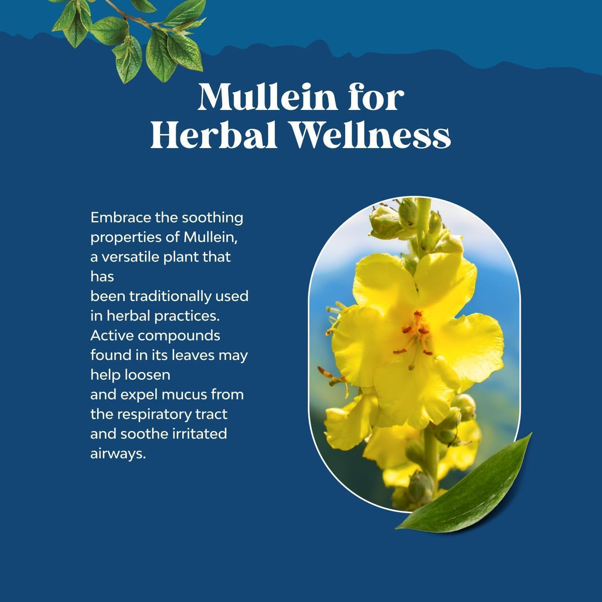 VitaminEsentials mullein tincture 4 oz