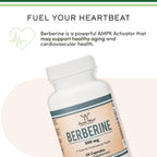 VitaminEsentials multivitamin for active lifestyles