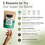 VitaminEsentials mushroom powder for immunity