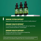 VitaminEsentials nettle extract for energy