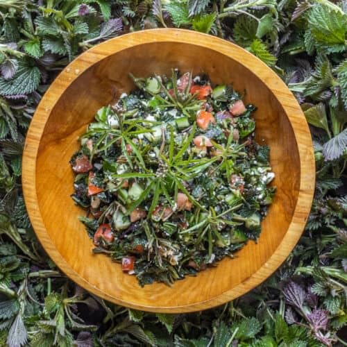 VitaminEsentials nettle seeds