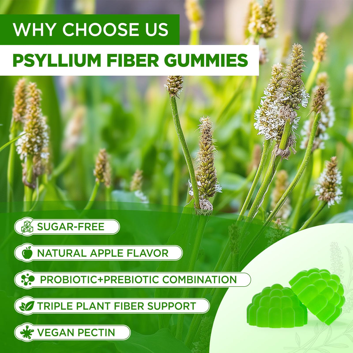 VitaminEsentials psyllium husk gummies