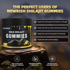 VitaminEsentials Shilajit benefits