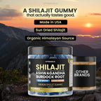 VitaminEsentials shilajit for enhanced focus
