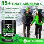 VitaminEsentials shilajit gummy benefits