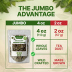 VitaminEsentials soursop leaves infusion
