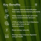 VitaminEsentials spirulina greens powder