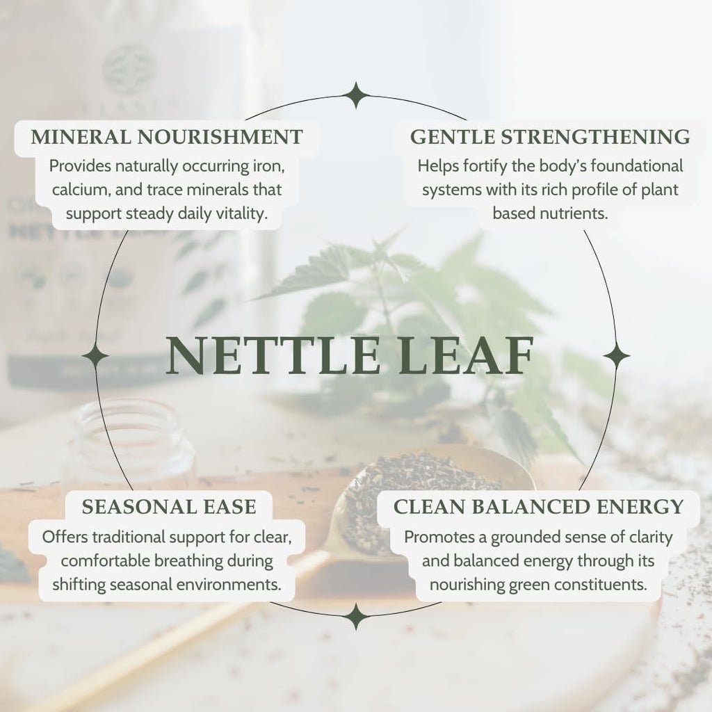 VitaminEsentials stinging nettle benefits