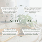 VitaminEsentials stinging nettle benefits