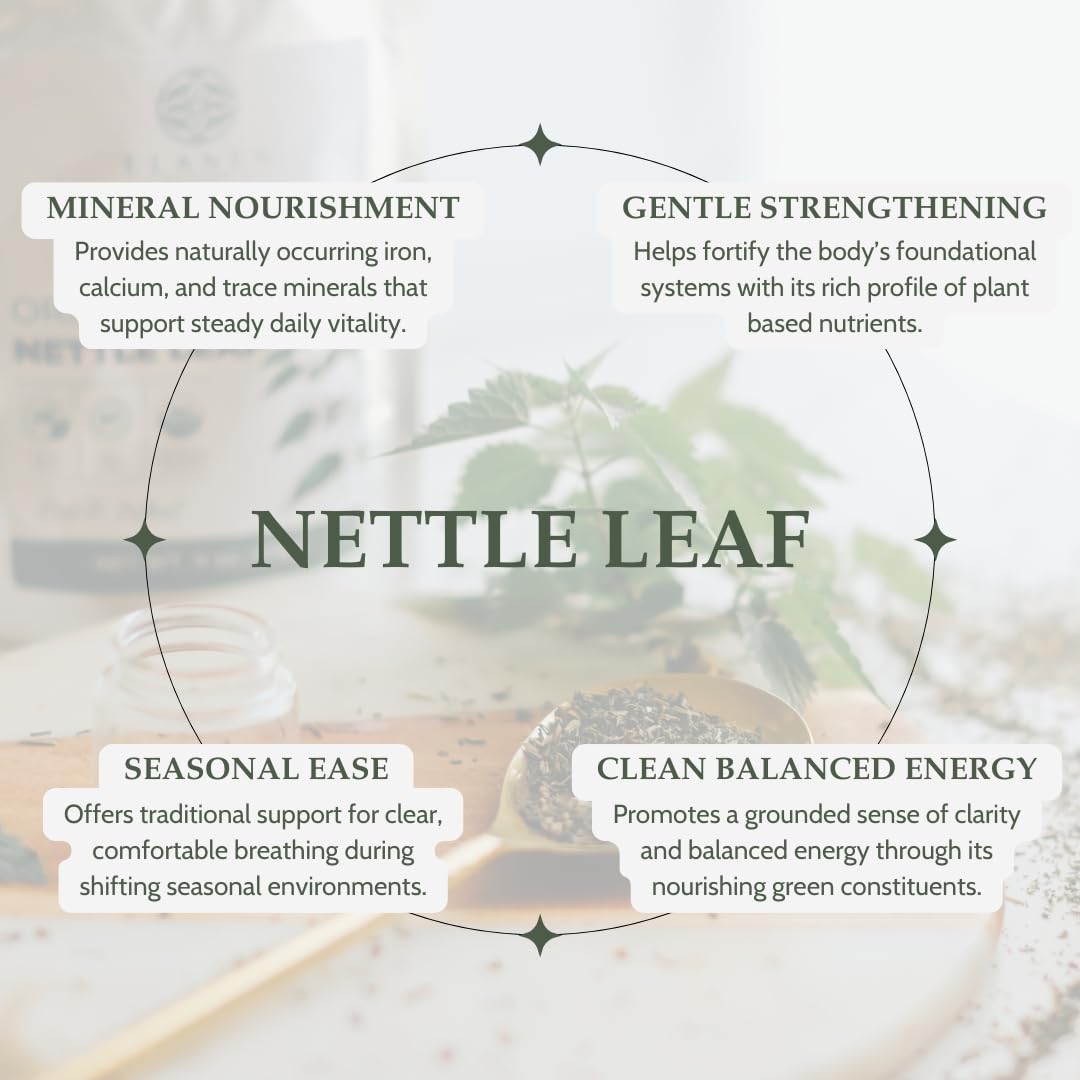 VitaminEsentials stinging nettle benefits