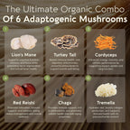 VitaminEsentials super six mushroom capsules