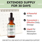 VitaminEsentials turmeric curcumin benefits