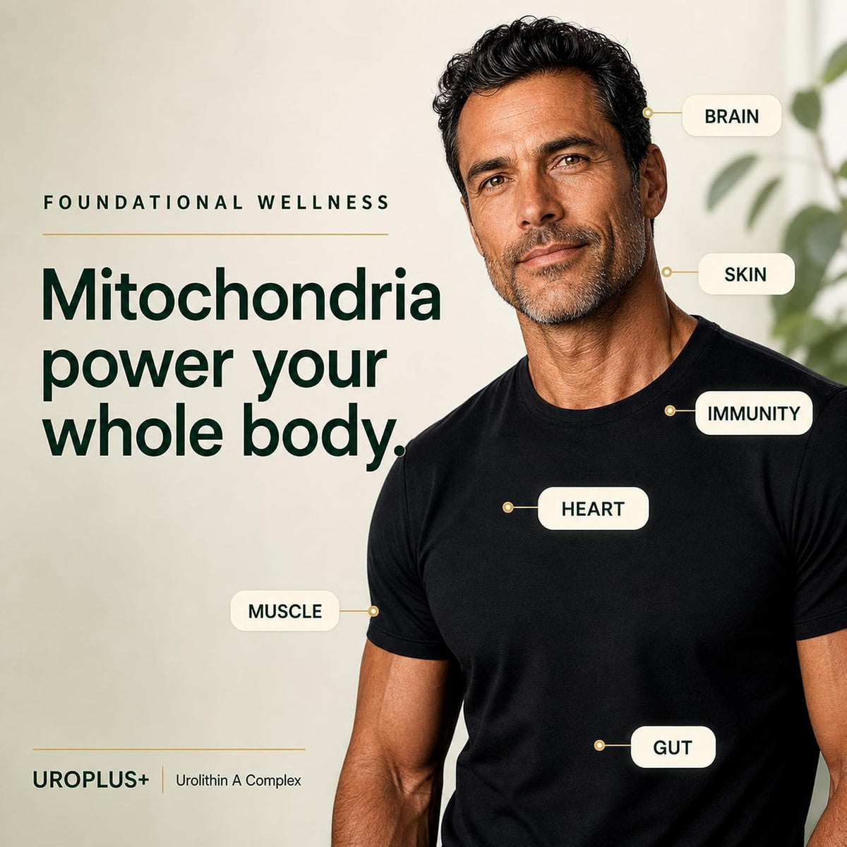 VitaminEsentials Urolithin A health benefits